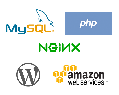 Standalone Nginx servers and WordPress - you decide? | Techno FAQ