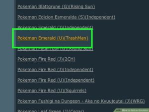 How to Use Emulators on Your Computer | Techno FAQ