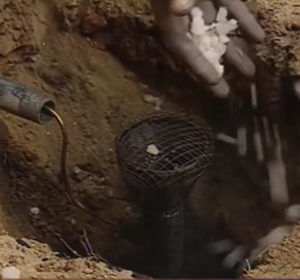 How to Install Earthing at your Residence | Techno FAQ