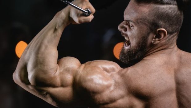 When Can I Start Taking Anabolic Steroids Techno FAQ