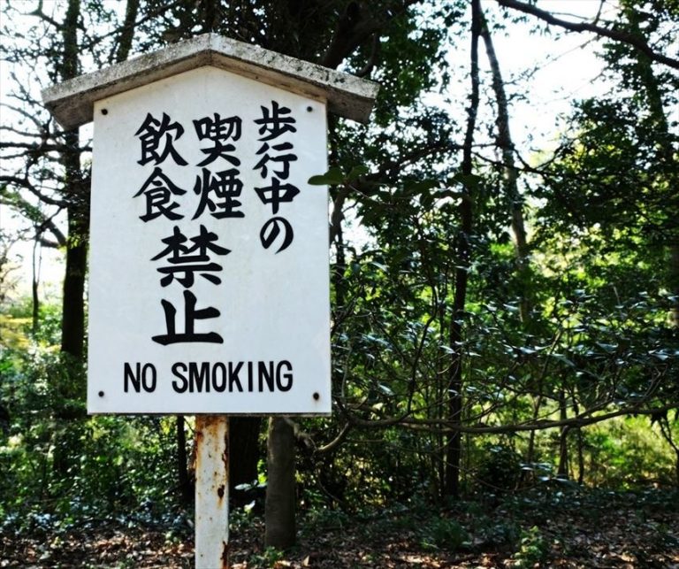 5 Tips to Keep in Mind Before Traveling to Japan | Techno FAQ