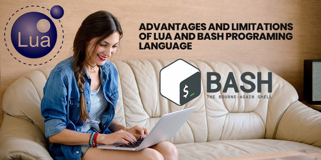 Should You Choose Lua or Bash For Your Next App Development Project in ...
