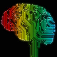 3 Neuroplasticity Tips to Rewire Your Worried Brain | Techno FAQ