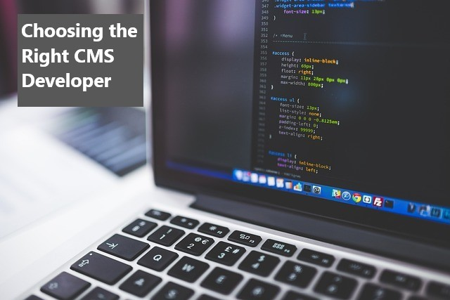 Choosing the Right CMS Developer | Techno FAQ